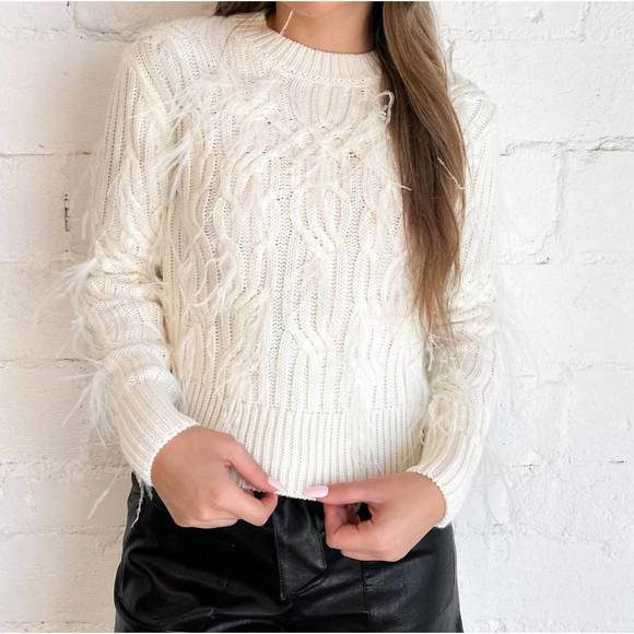 Astr | Sweaters | New Astr Feather Embellished Almeida Sweater In White ...